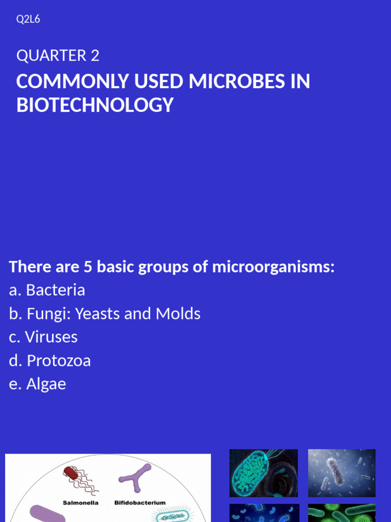 q2l6 Microbes | PDF | Bacteria | Fungus