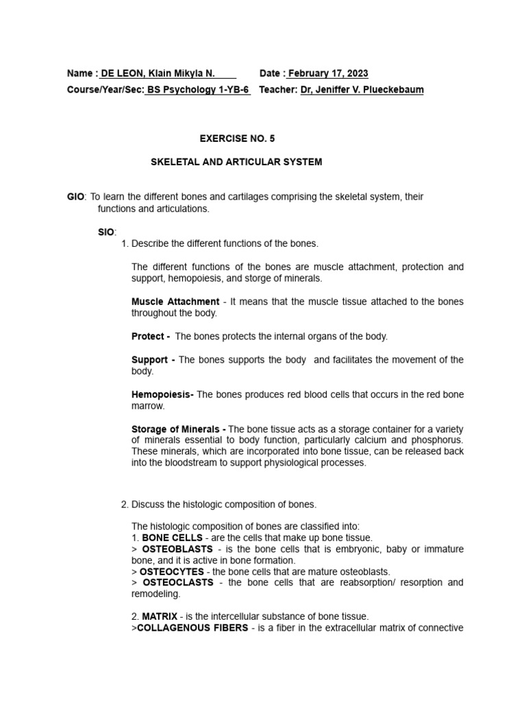LAB-EXERCISE_Skeletal-System | PDF | Bone | Osteoblast