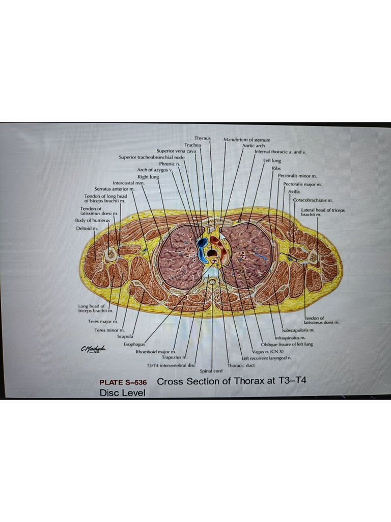 Cross Sections | PDF