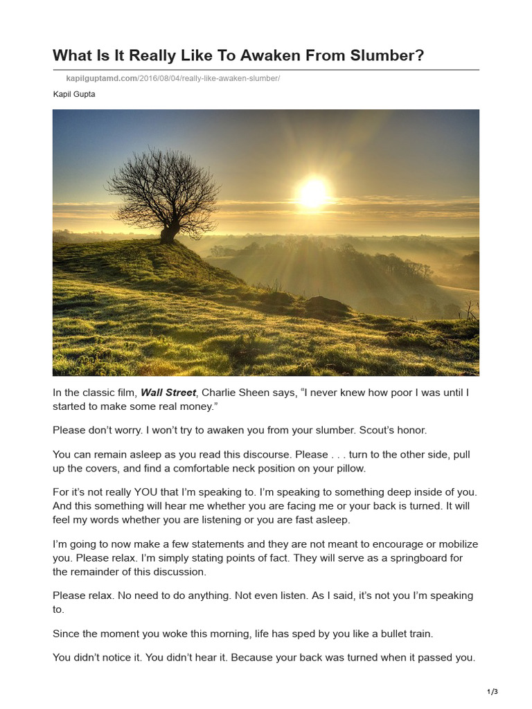 Kapilguptamd Com What Is It Really Like To Awaken From Slumber | PDF