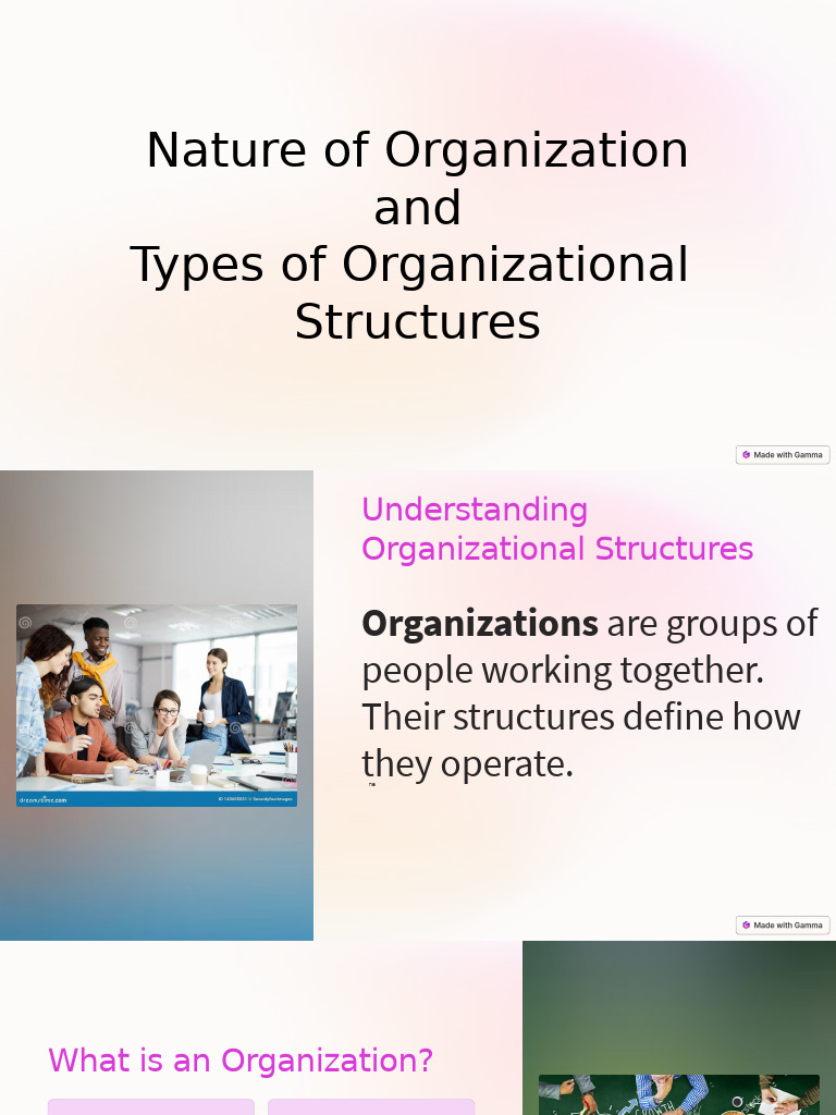 Understanding Organizational Structures | PDF | Partnership ...