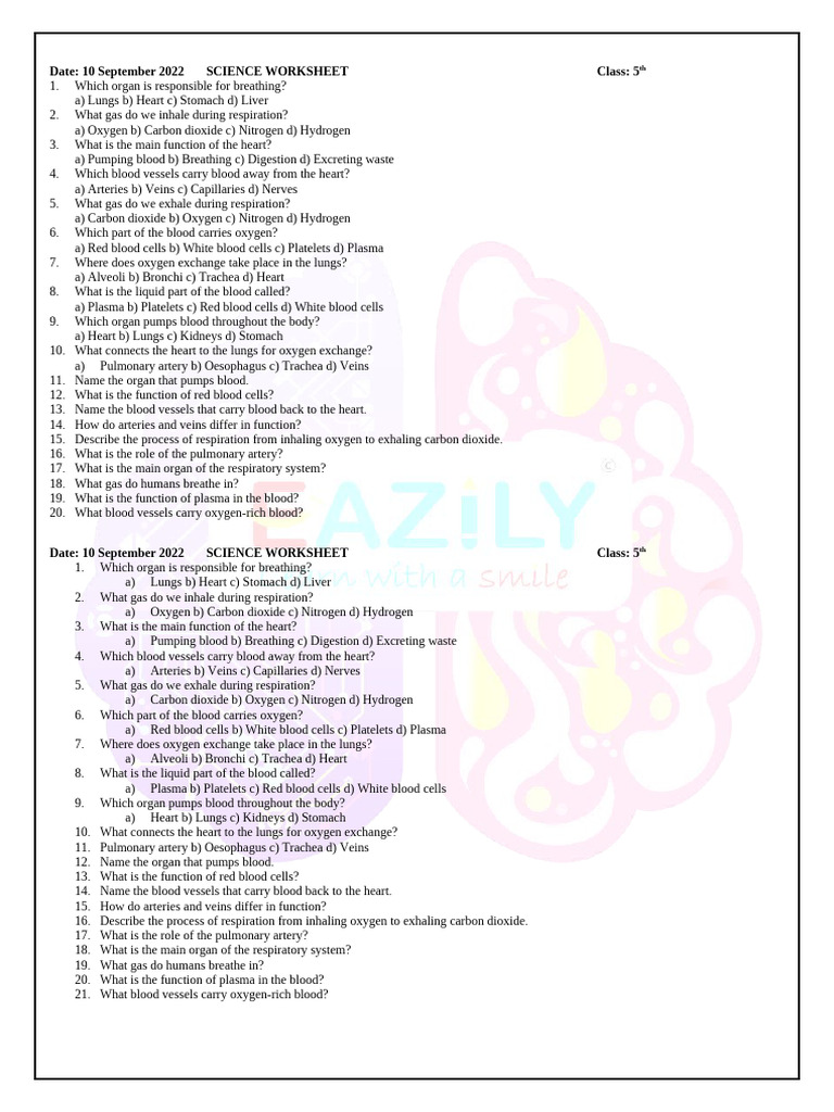 Class 5th Science - 10 - 09 - 24 - Worksheet | PDF | Respiratory System | Lung