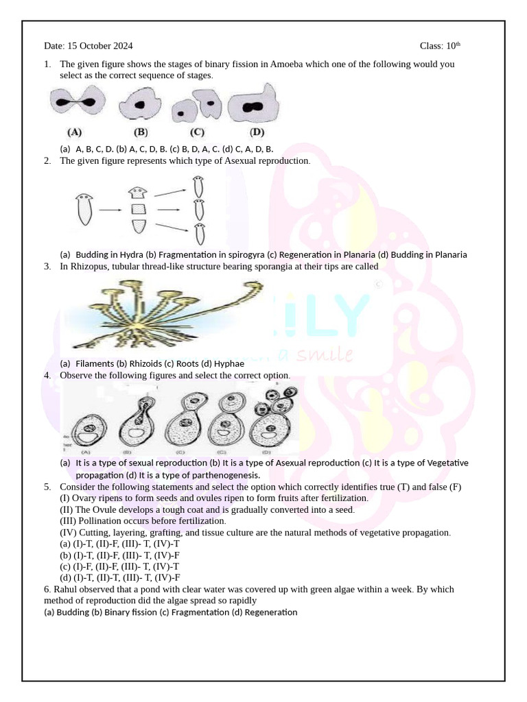 class 10th 15-10-24 | PDF | Reproduction | Biology
