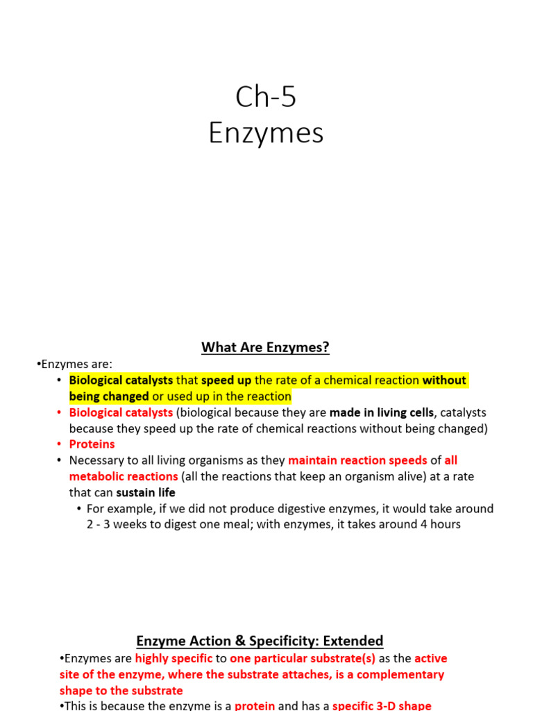 Ch-5_Enzymes | PDF | Enzyme | Active Site