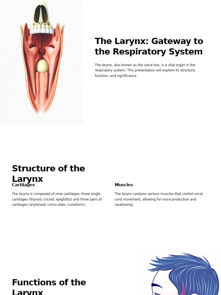 Understanding the Larynx and Its Functions | PDF | Larynx | Human Voice