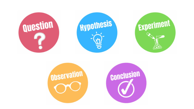 Scientific Method Labels | PDF
