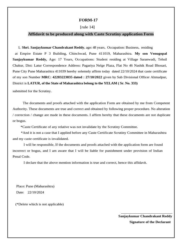 Report 17 Blank | PDF