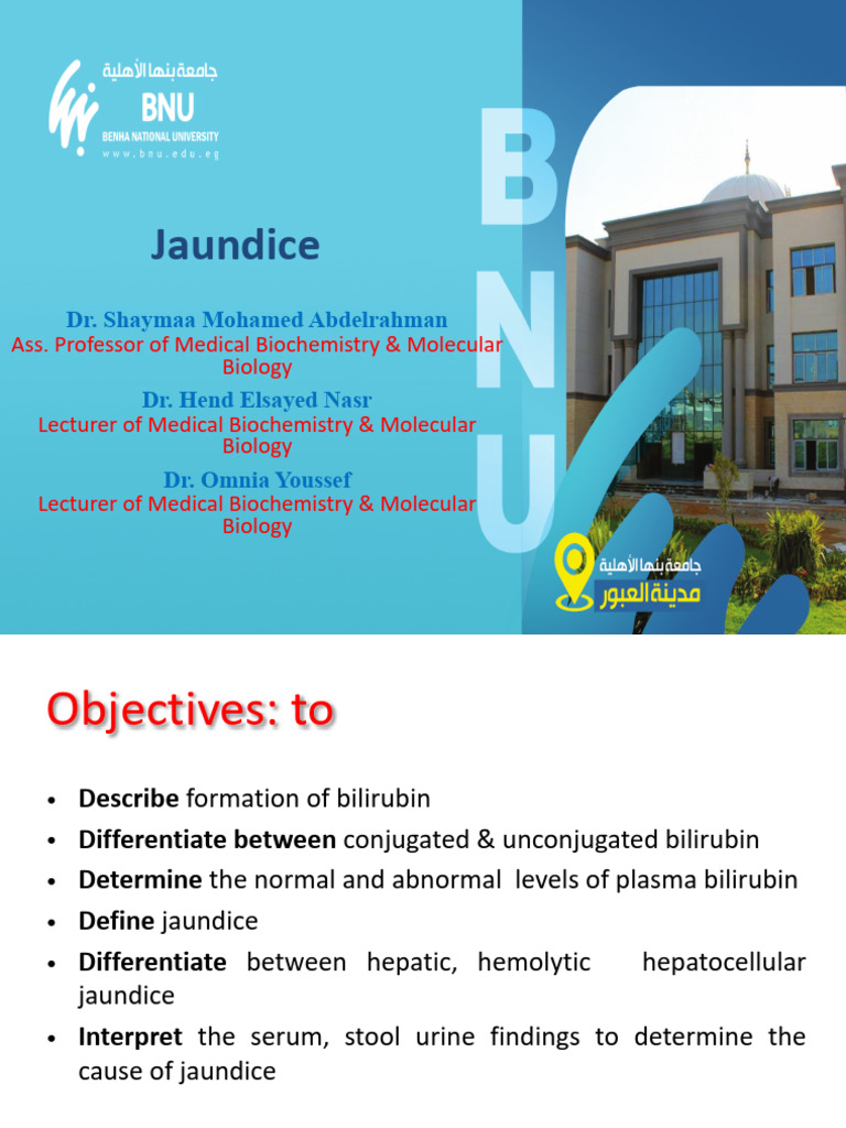 Jaundice 241030 085522 | PDF | Liver | Medical Specialties