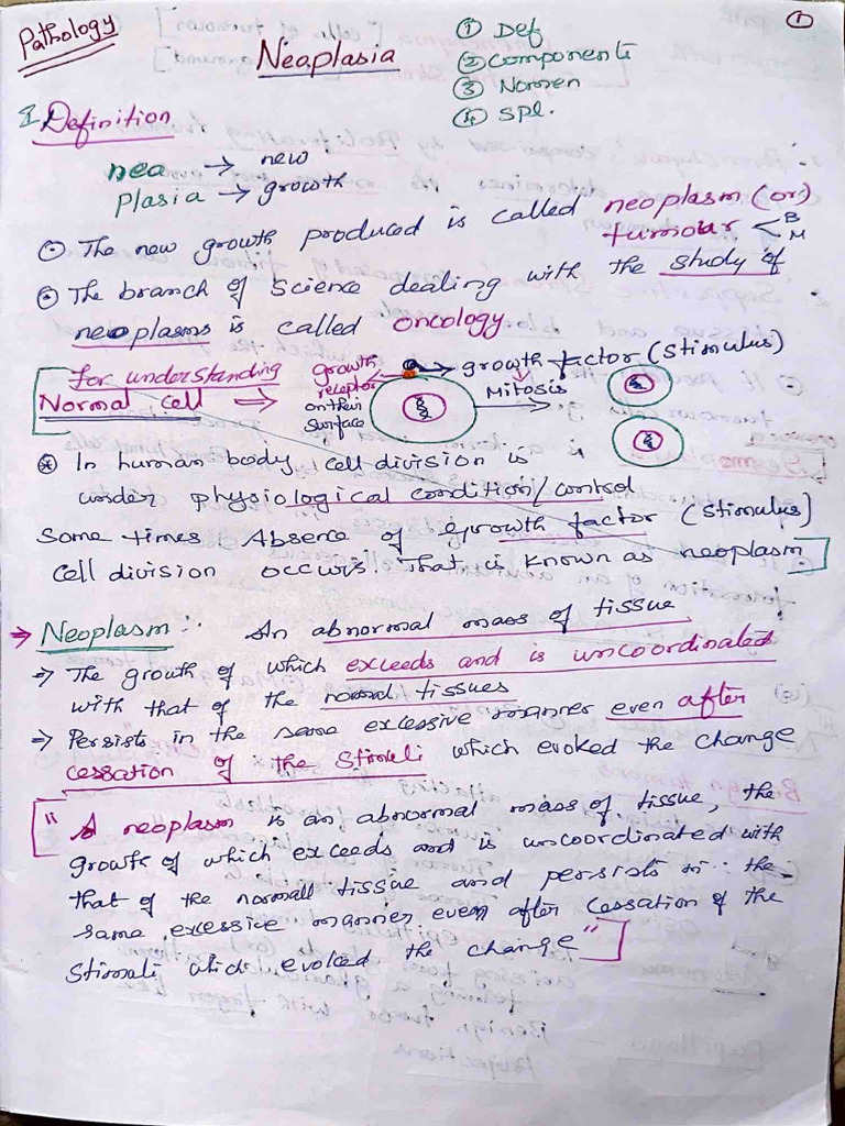 Neoplasia Notes | PDF