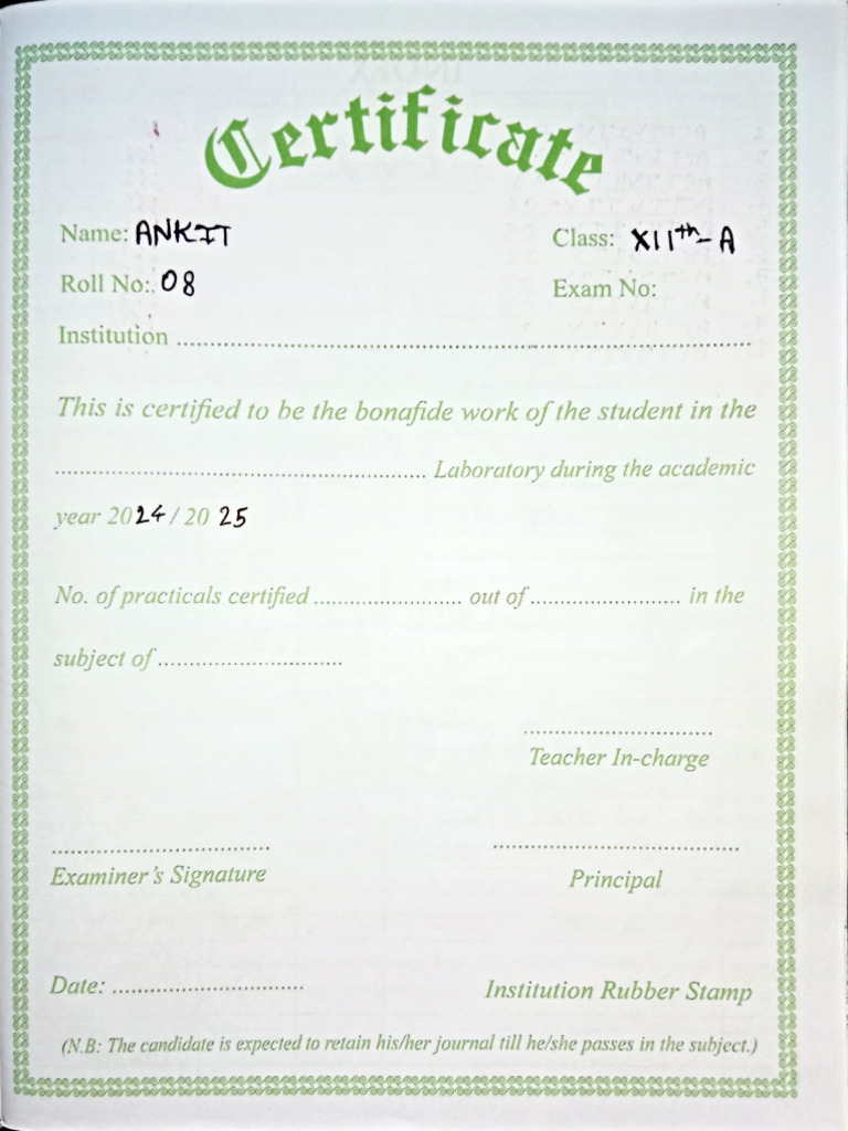 Mathematics Activity File | PDF