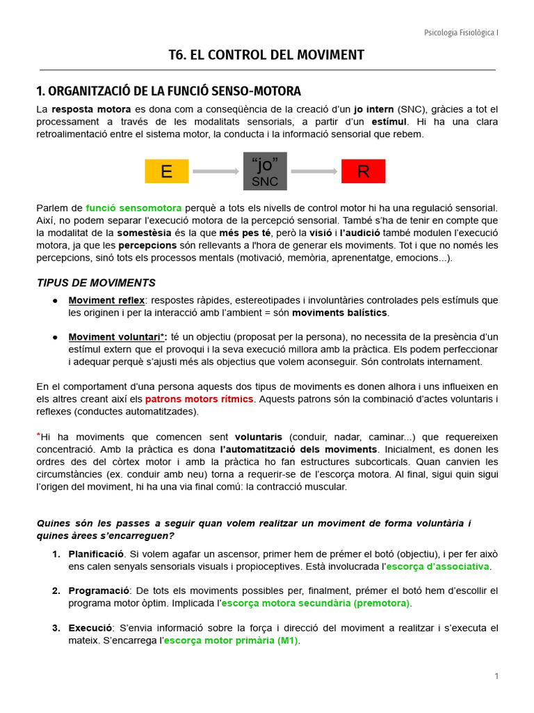 Wuolah Free T6 Gulag Free | PDF