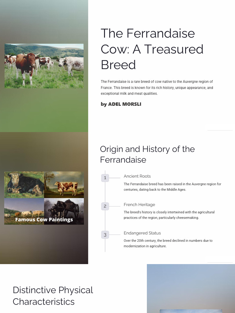 The-Ferrandaise Cow Breed | PDF | Meat | Beef