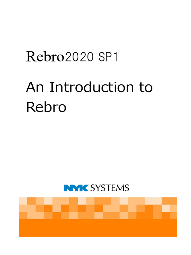 2020SP1 An Introduction To Rebro Eng US | PDF