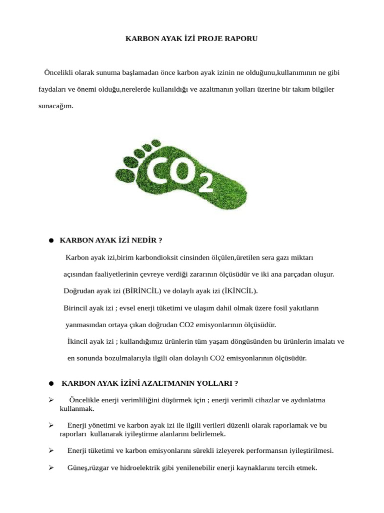 Carbon Footprint Report | PDF