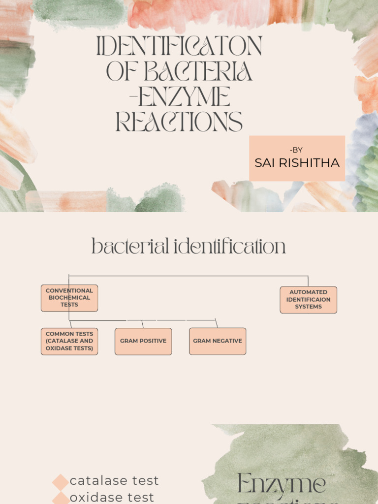 Bacterial Enzyme Reaction Tests | PDF | Bacteria | Staphylococcus