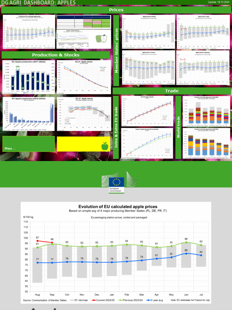 Apple Dashboard En | PDF