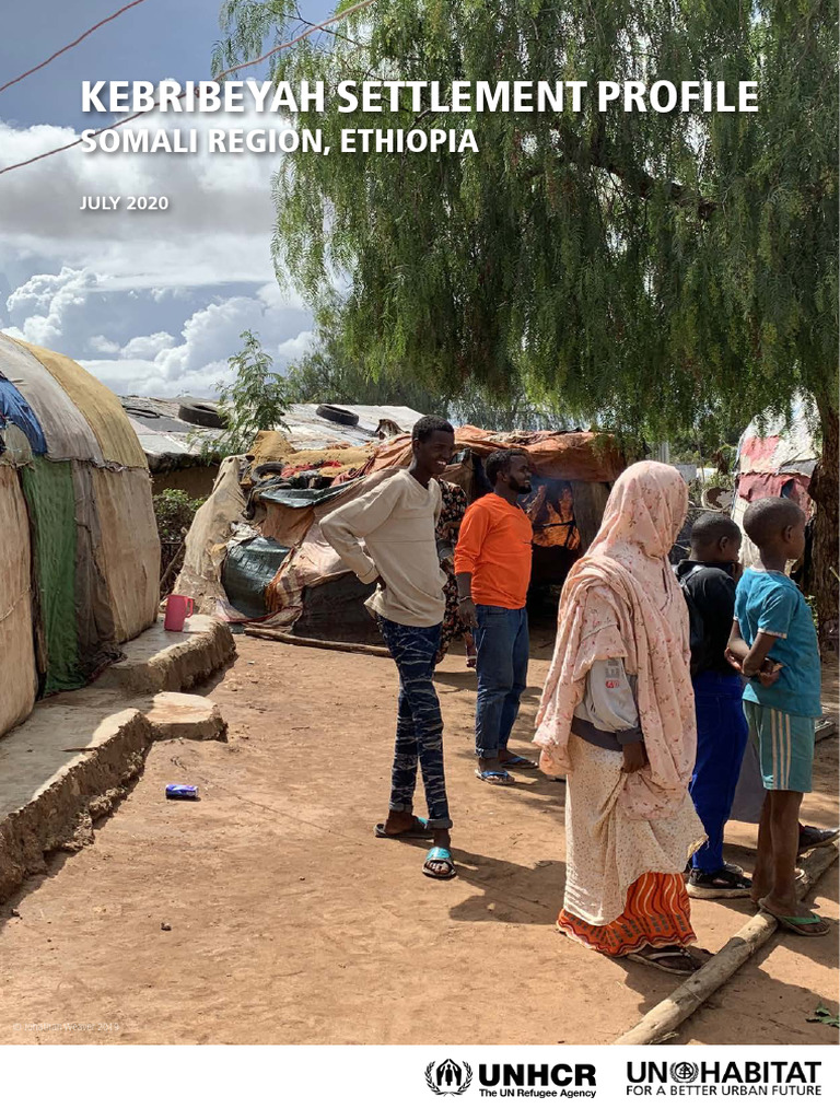 Kebribeyah Settlement Profile Ethiopia | PDF | Refugee | Africa