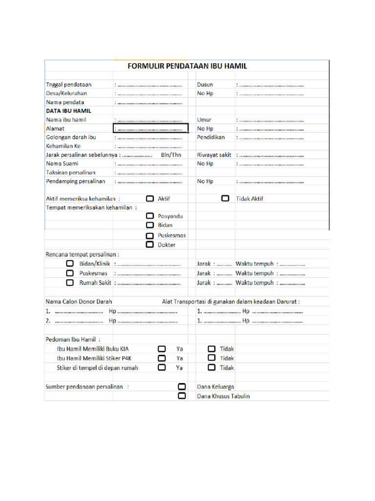 Formulir Pendataan Ibu Hamil | PDF