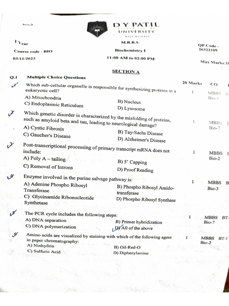 1st Year Papers | PDF