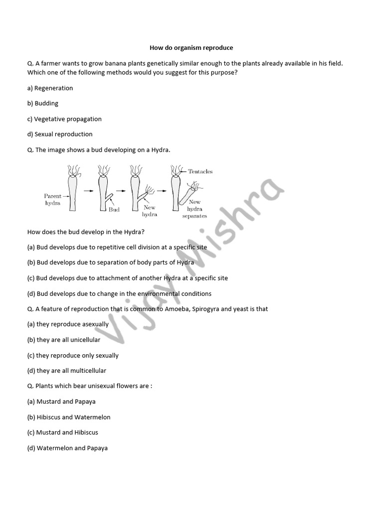 How Do Organism Reproduce - Watermark | PDF | Reproduction | Sexual ...