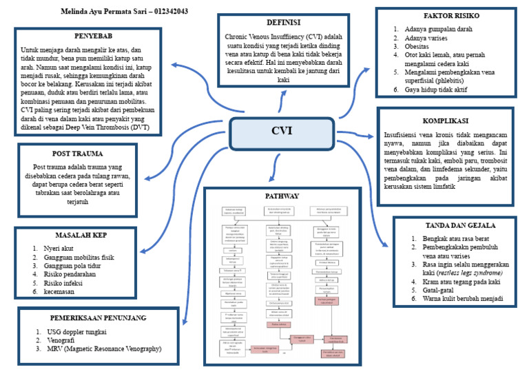 MIND MAPPING CVI - MELINDA AYU PERMATA SARI | PDF