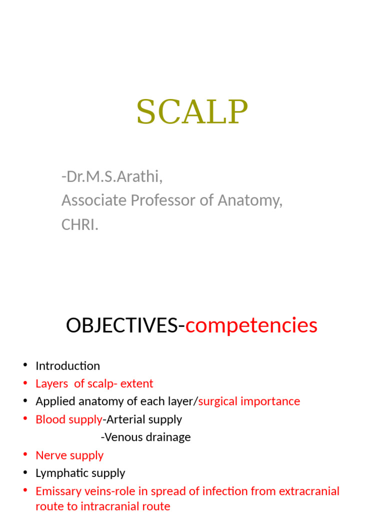 12685_1.SCALP | PDF | Skull | Vein