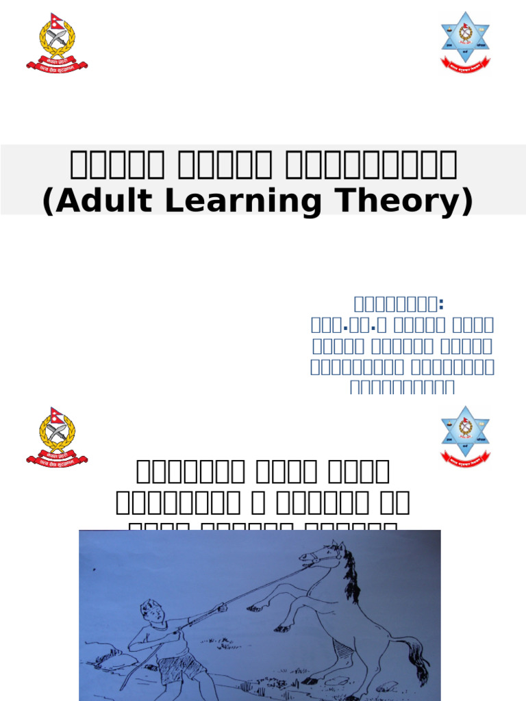 Adult Learning Theory Final | PDF