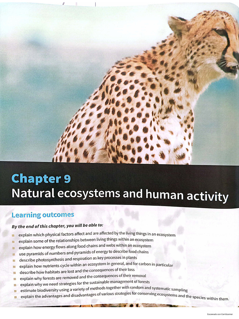 9 - Natural Ecosystems and Human Activity | PDF