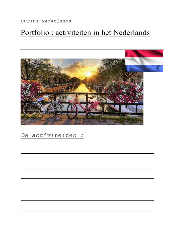 Portfolio Ndls | PDF