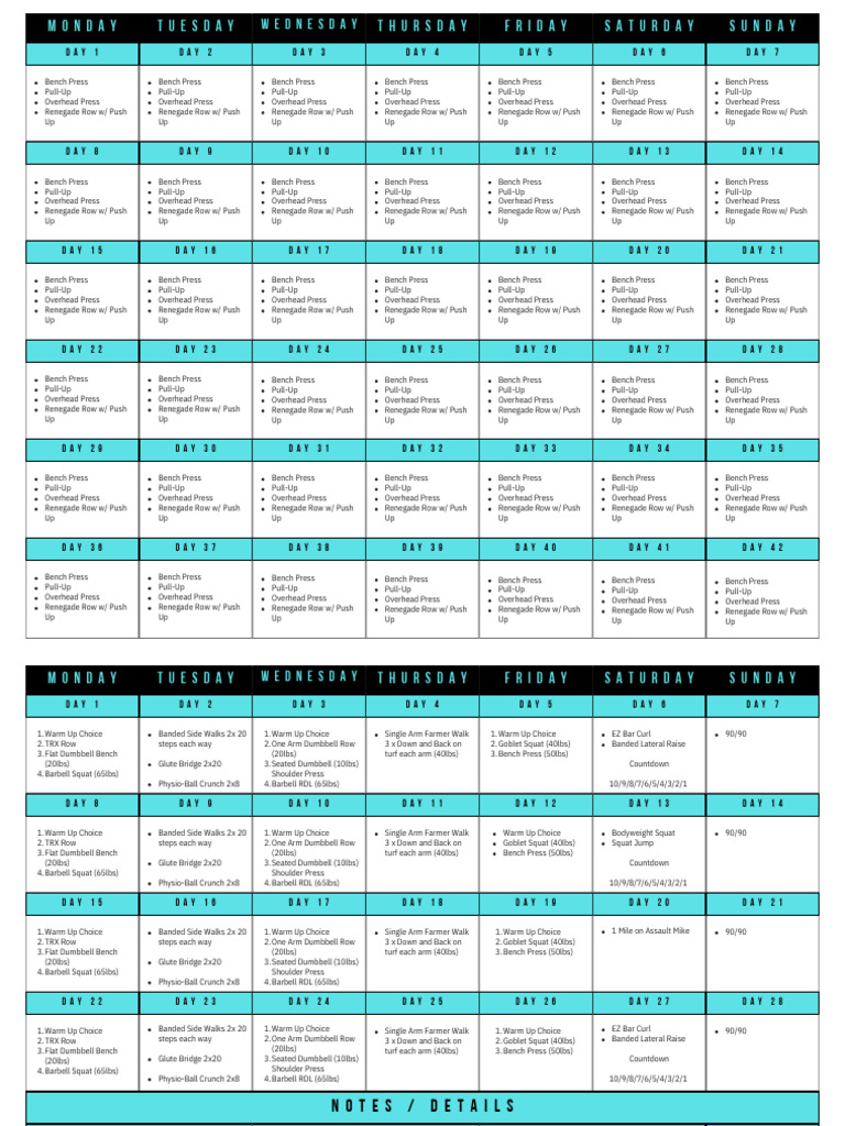 40 Day Challenge | PDF | Strength Training | Weight