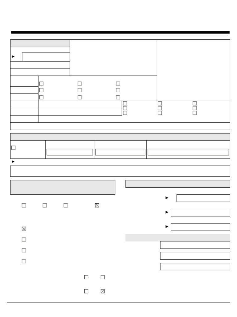 Electronic Form Only: Petition For Alien Relative | PDF