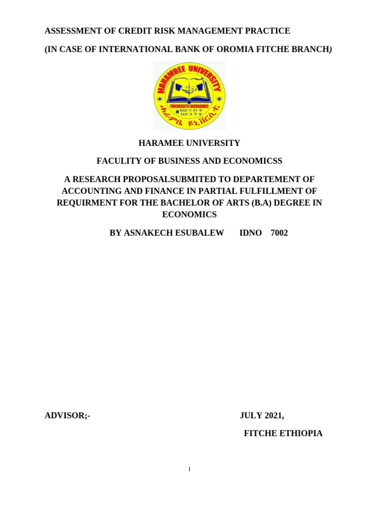 Sifaan Research 2 | PDF | Banks | Debt
