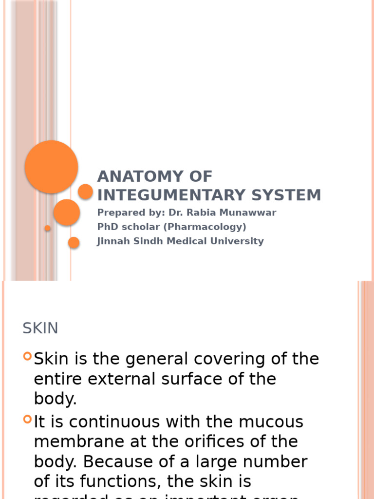 Anatomy of Integumentary System-student Copy | PDF | Skin ...