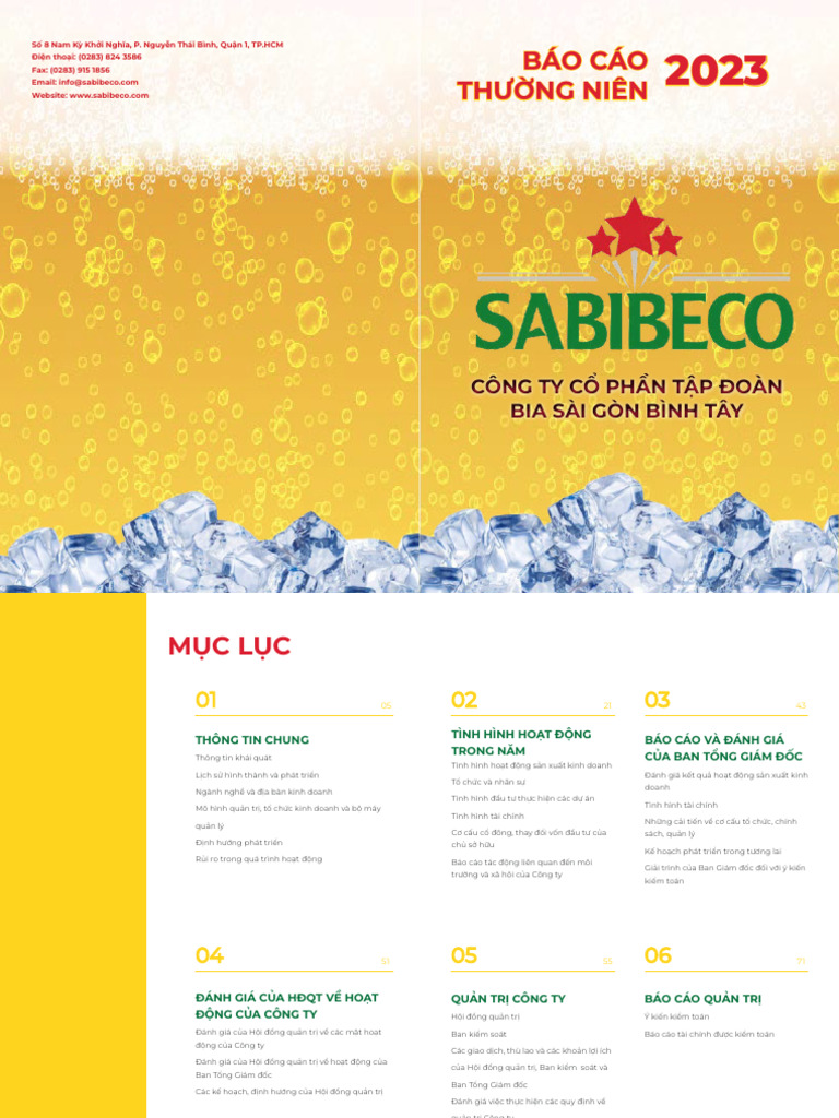 SBB Baocaothuongnien 2023 | PDF