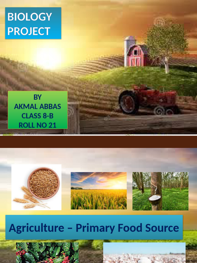 Biology Project | PDF