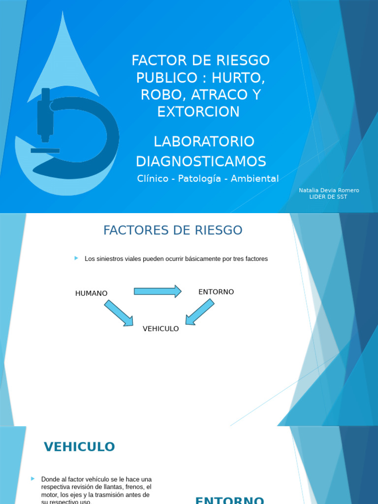 factor de riesgo vehicular | PDF