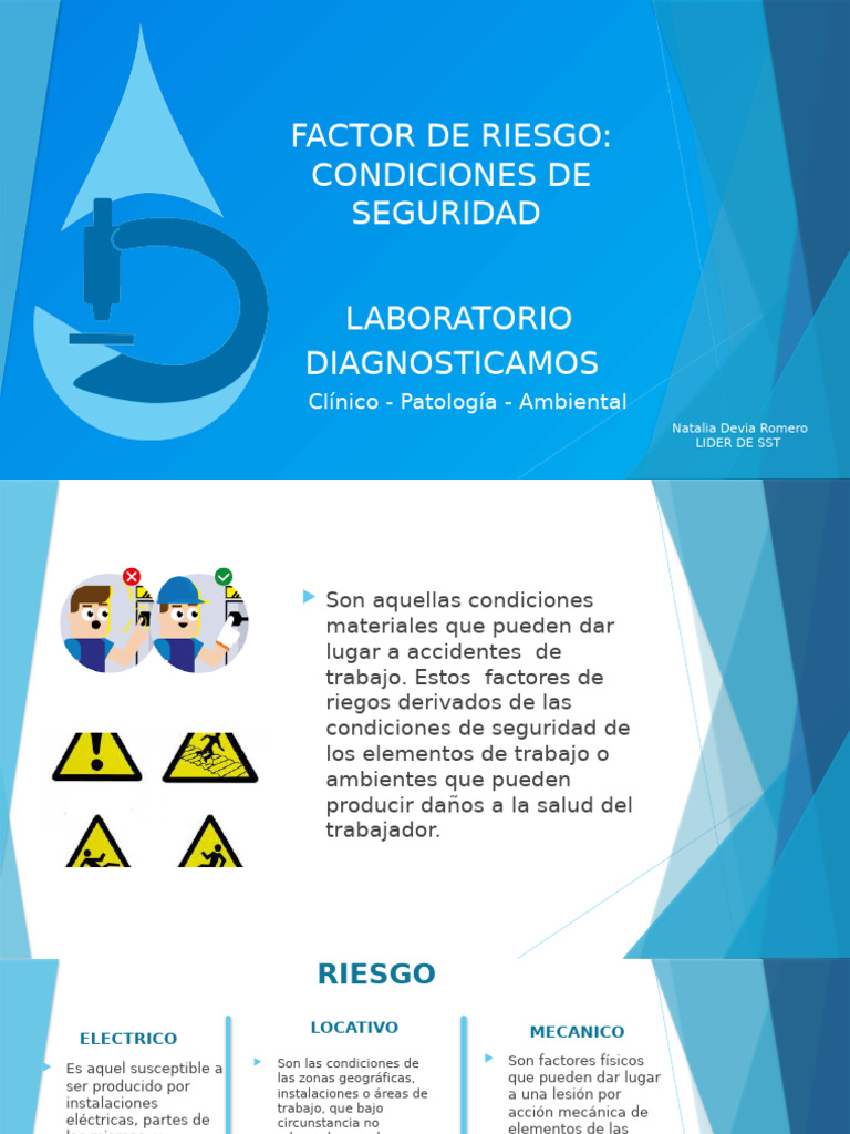 Factor de Riesgo Condiciones de Seguridad | PDF