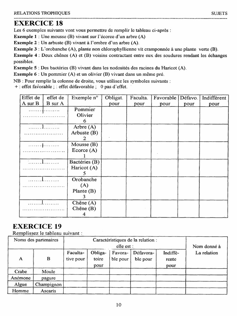 Relations Trophiques-Exercice 18 | PDF