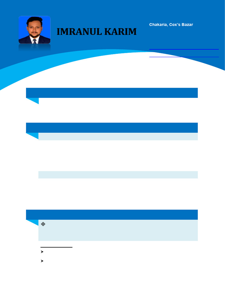 Imranul Karim by CV | PDF