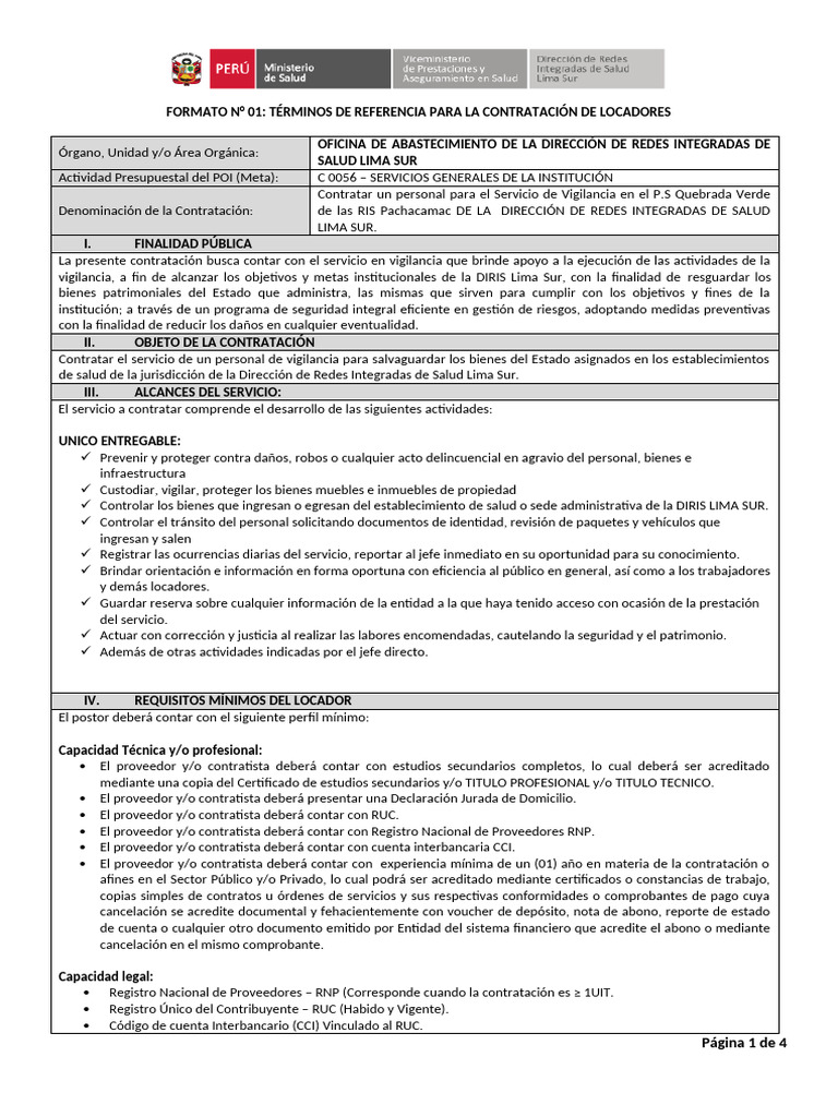 Vigilancia - TDR Eess-Dirisls Ok 10-09-24 | PDF | Lima