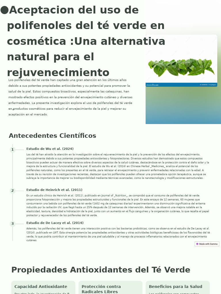 Polifenoles de Té Verde en Cosmética | PDF | Antioxidante | Té verde