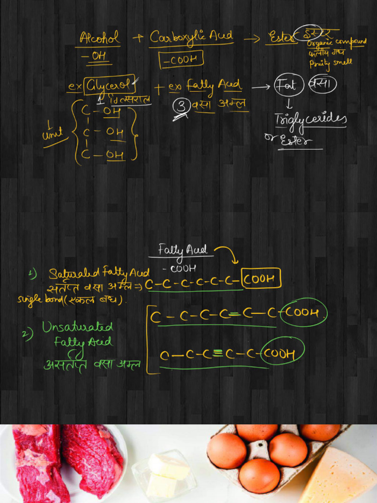 010) (BIOLOGY) (NUTRITION) Nutrition 5 (Class Notes) | PDF
