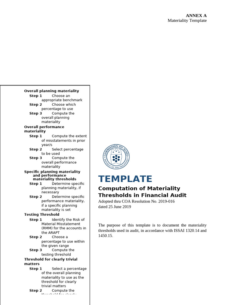 03 - Annex A - Template - Materiality | PDF | Financial Statement ...