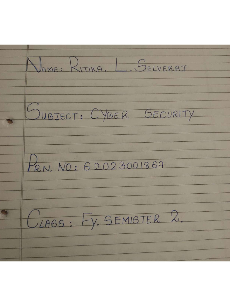 Cyber Security Assignment 1 Pdf