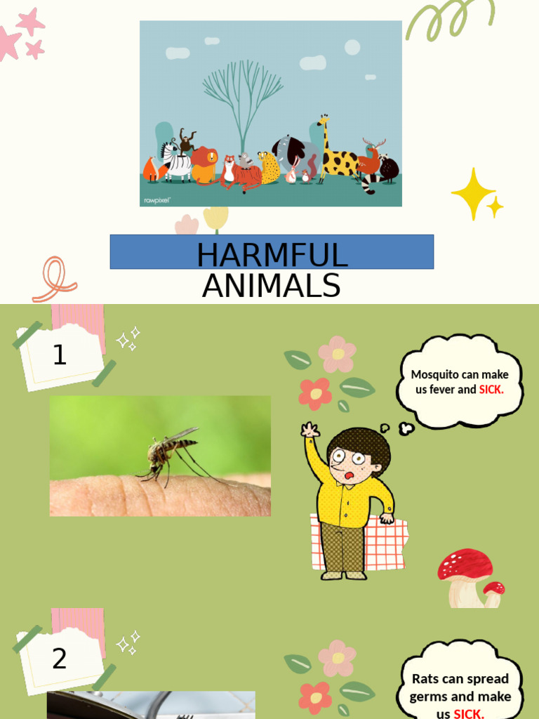 Harmful Animals for Grade 2 | PDF