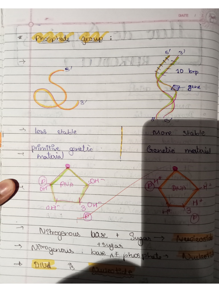 Diagram of Phosphate Group | PDF