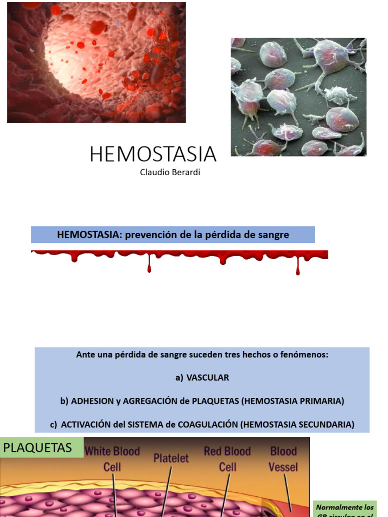 HEMOSTASIA | PDF | Plaqueta | Hemostasia