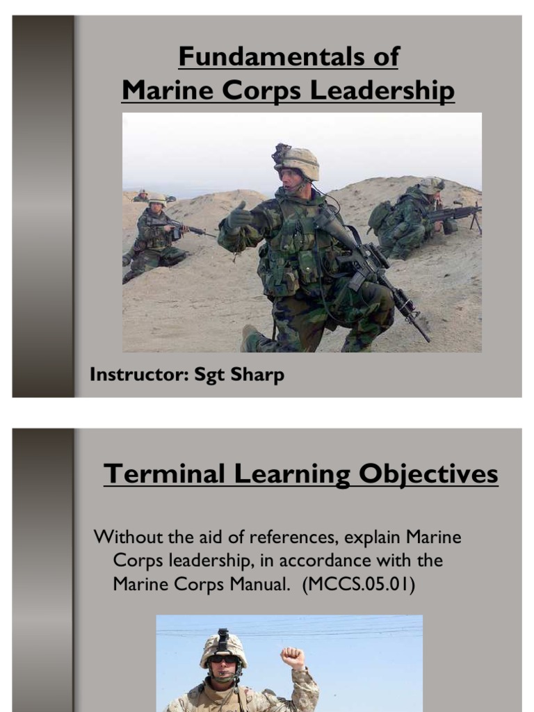 11 Leadership Principles | PDF | Reconnaissance | Leadership