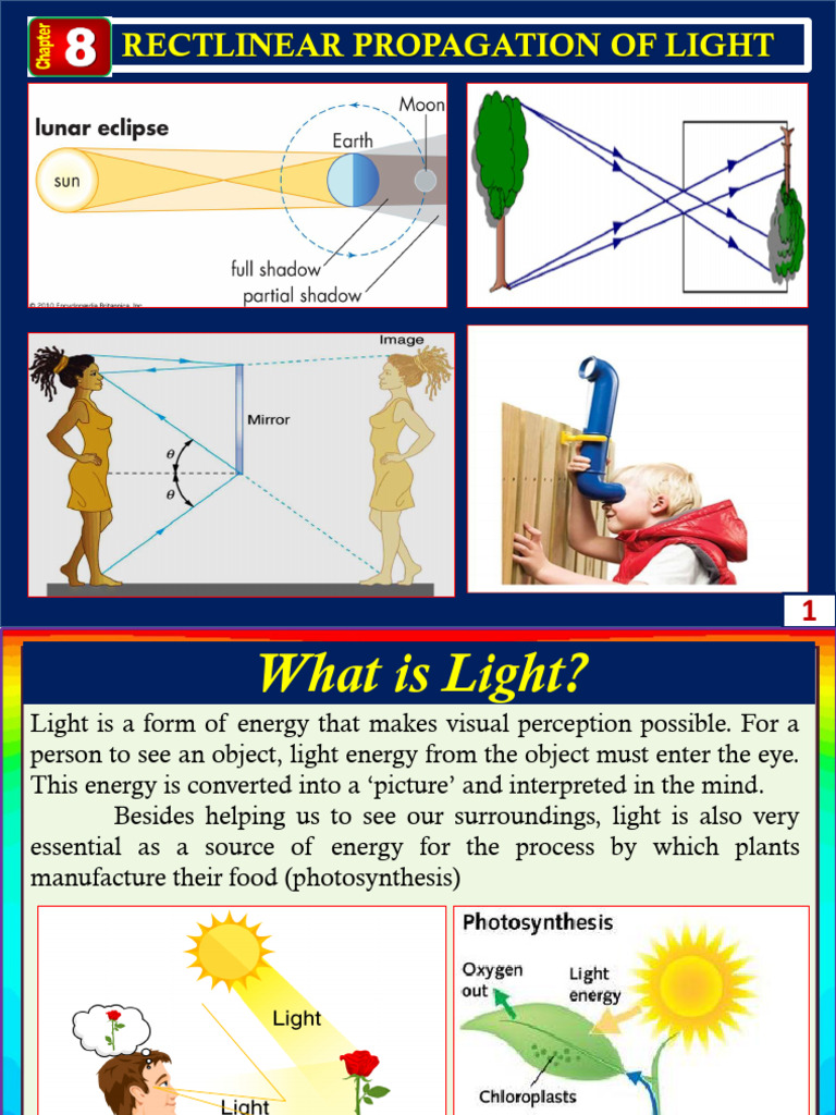 Understanding Rectilinear Light Propagation | PDF | Reflection (Physics ...