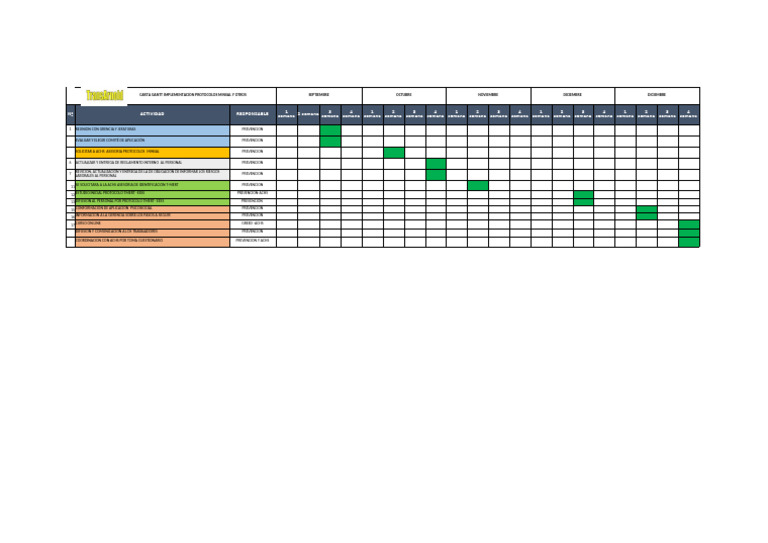 Carta Gantt Protocolos Minsal ARNOLD | PDF